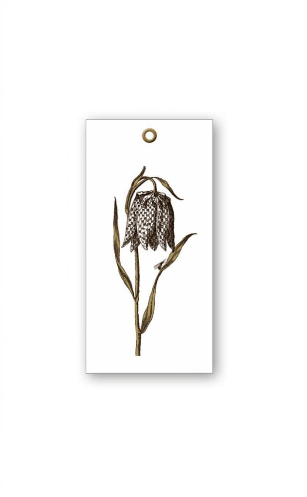 Atvirutė su gėle margute. Skandinaviškas dizainas ir kokybė. Gėlės studija