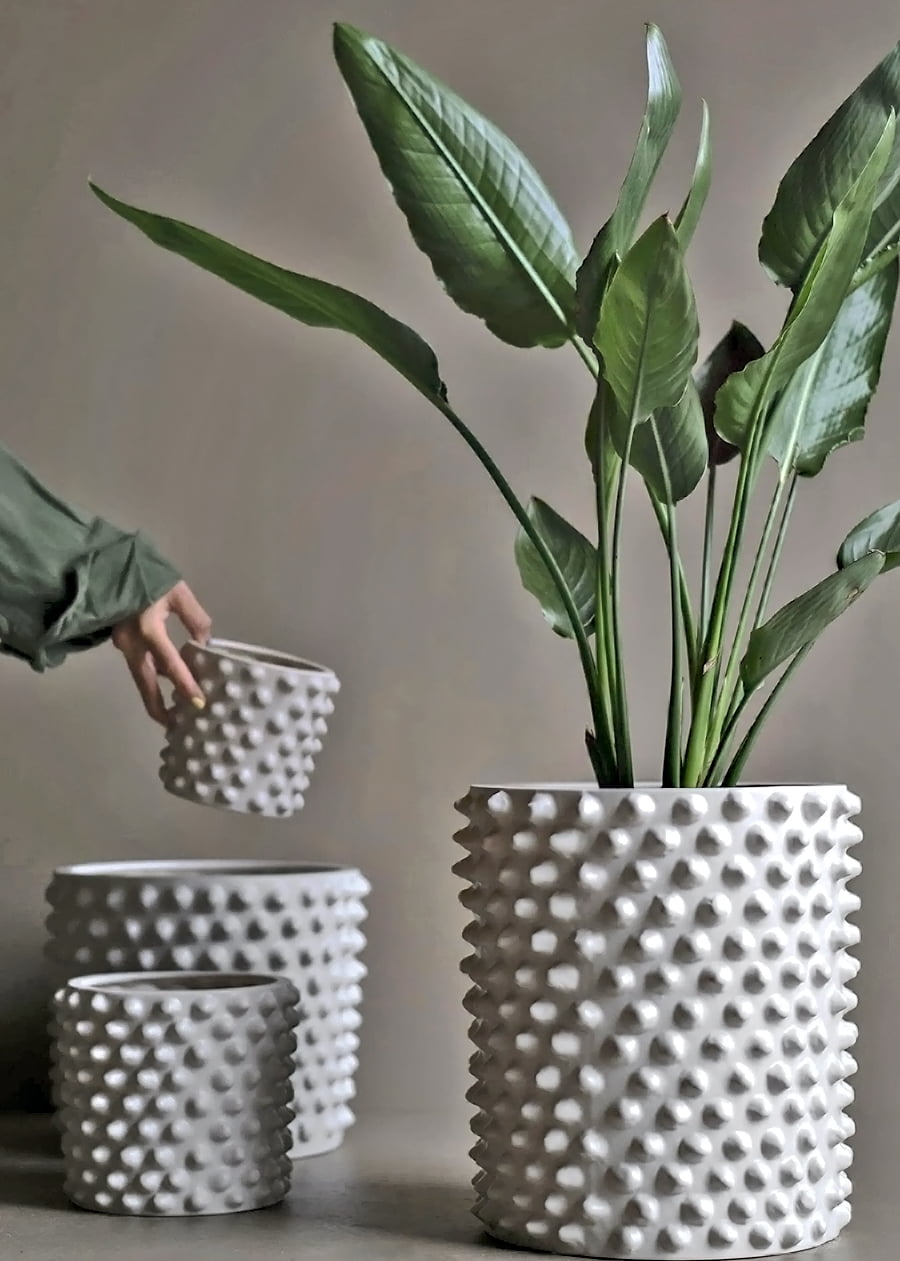 Gėlių vazonai internetu | Kambarinių augalų vazonai | Gėlės studija