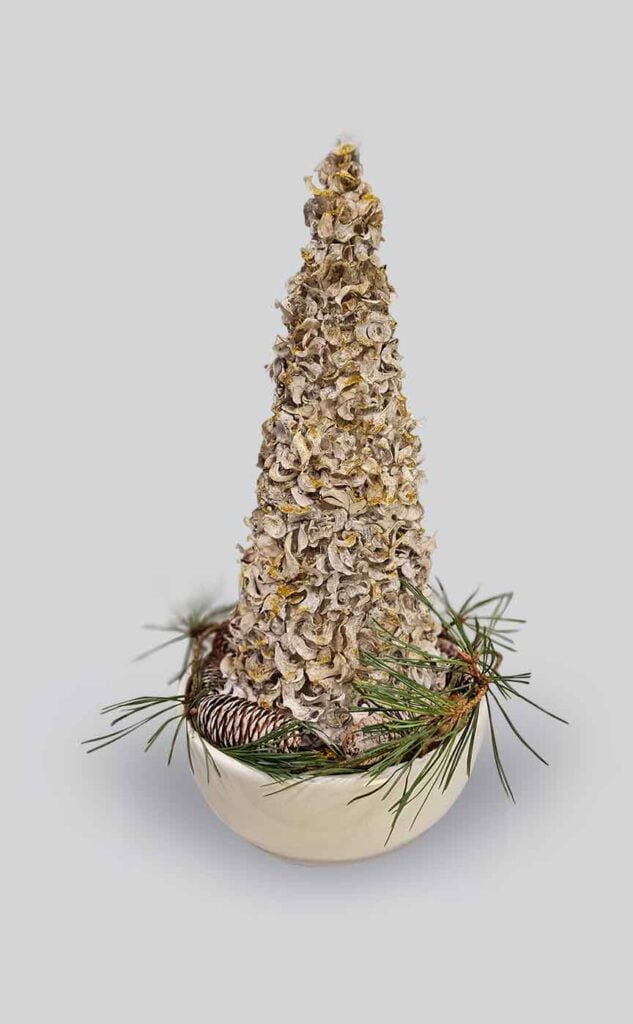 Baltoji eglė | Gėlės studija