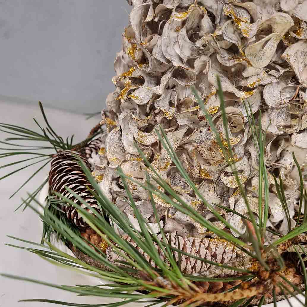 Baltoji eglė | Gėlės studija