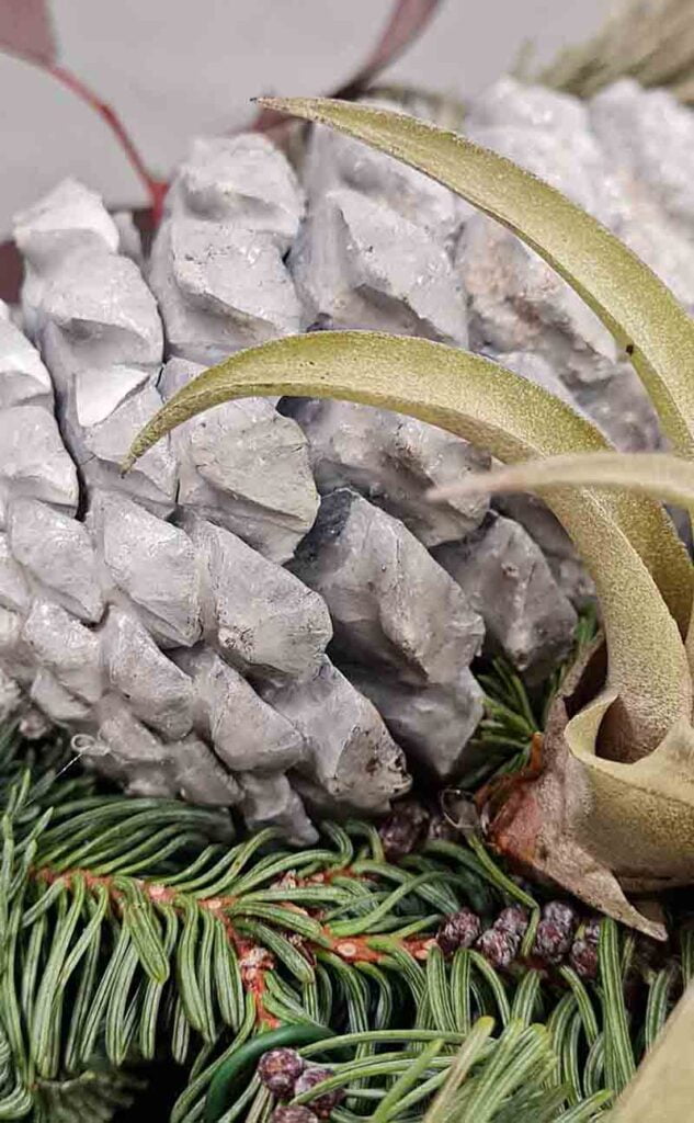 Su žaisliuku | Gėlės studija