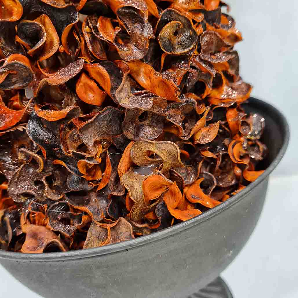 Su žaisliuku | Gėlės studija