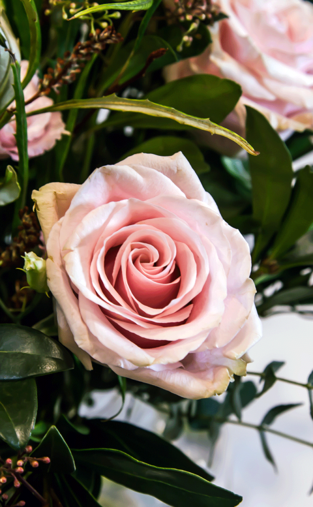 GĖLĖS internetu | Gėlių salonas - internetinė parduotuvė - Gėlės studija